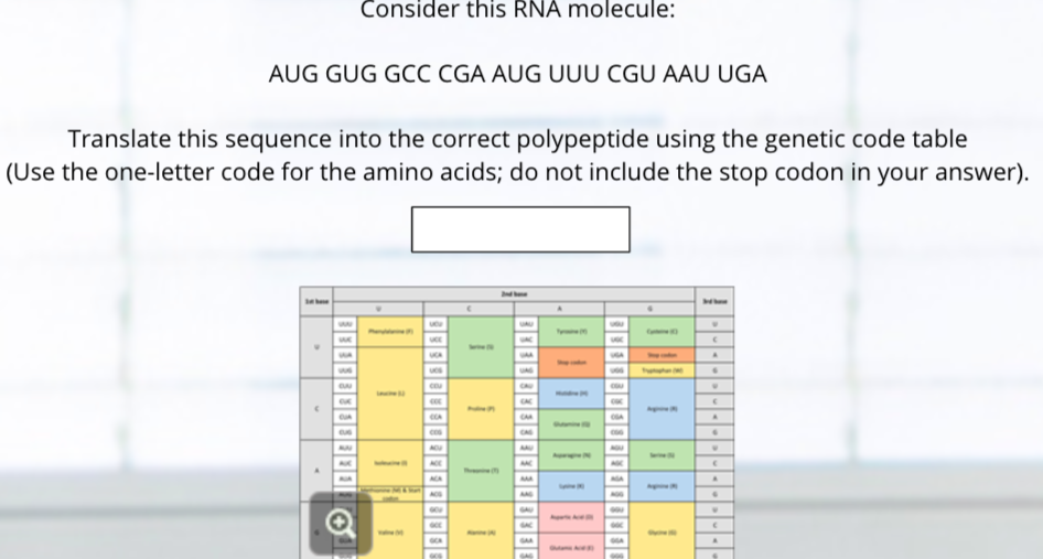 Solved Consider this RNA molecule: AUG GUG GCC CGA AUG UUU | Chegg.com