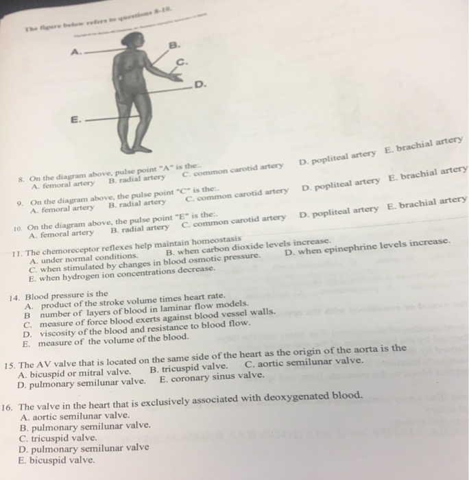 [DIAGRAM] Leg Pulses Diagram - WIRINGSCHEMA.COM