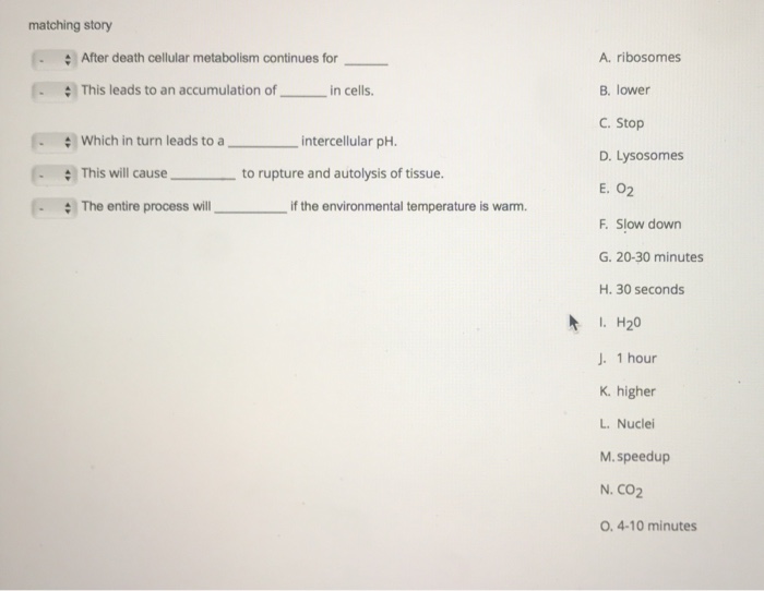 Solved After death, cellular metabolism continues for __ | Chegg.com