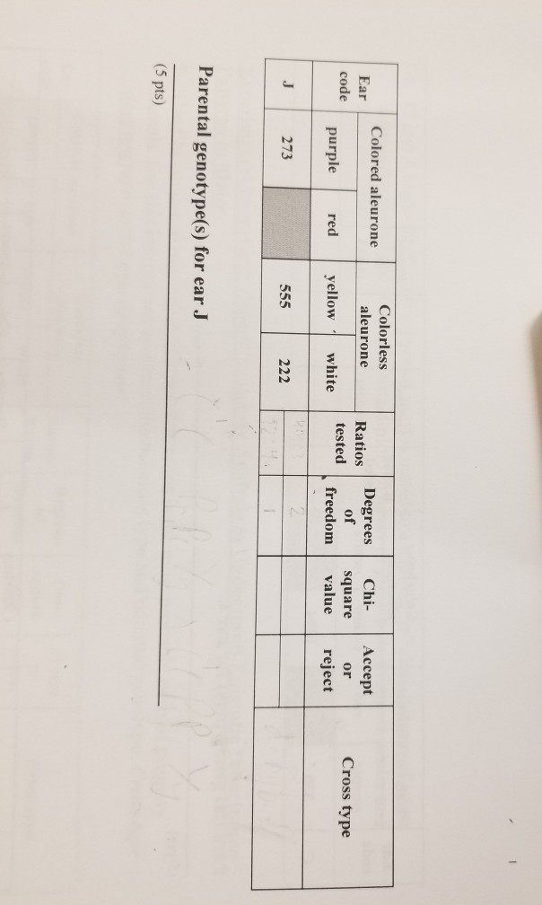 Solved Colorless aleurone DegreesCAccept Colored aleurone | Chegg.com