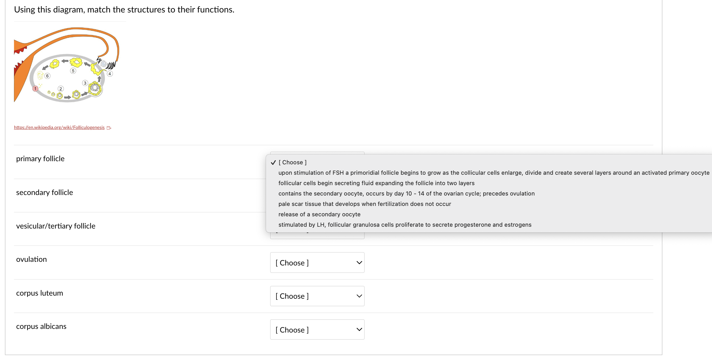 Solved Using this diagram, match the structures to their | Chegg.com