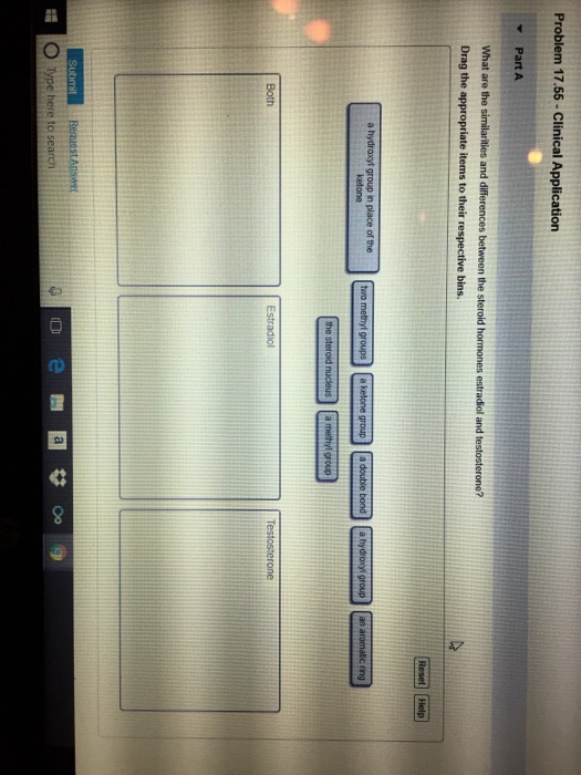 Solved What are the similarities and differences between the | Chegg.com