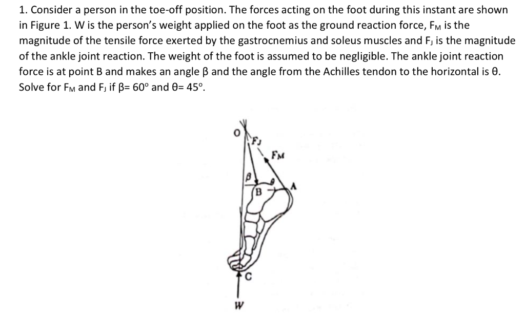 Solved 1. Consider a person in the toe-off position. The | Chegg.com