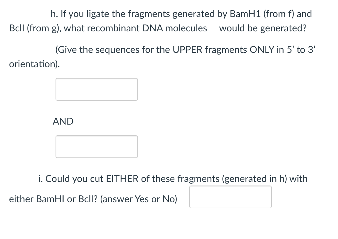 Solved For the DNA shown below, answer the following: 5' | Chegg.com