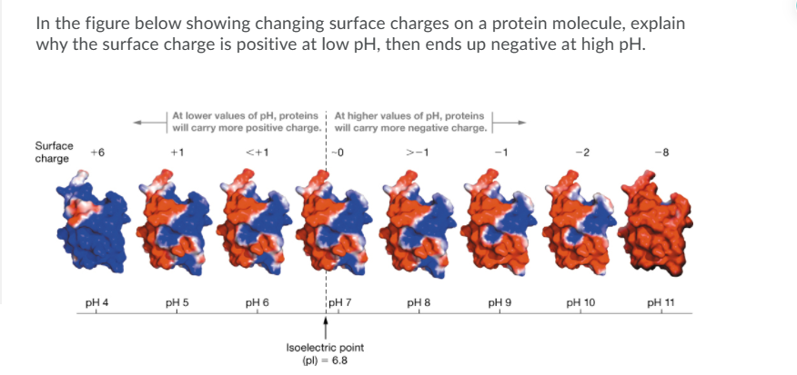Solved In the figure below showing changing surface charges | Chegg.com