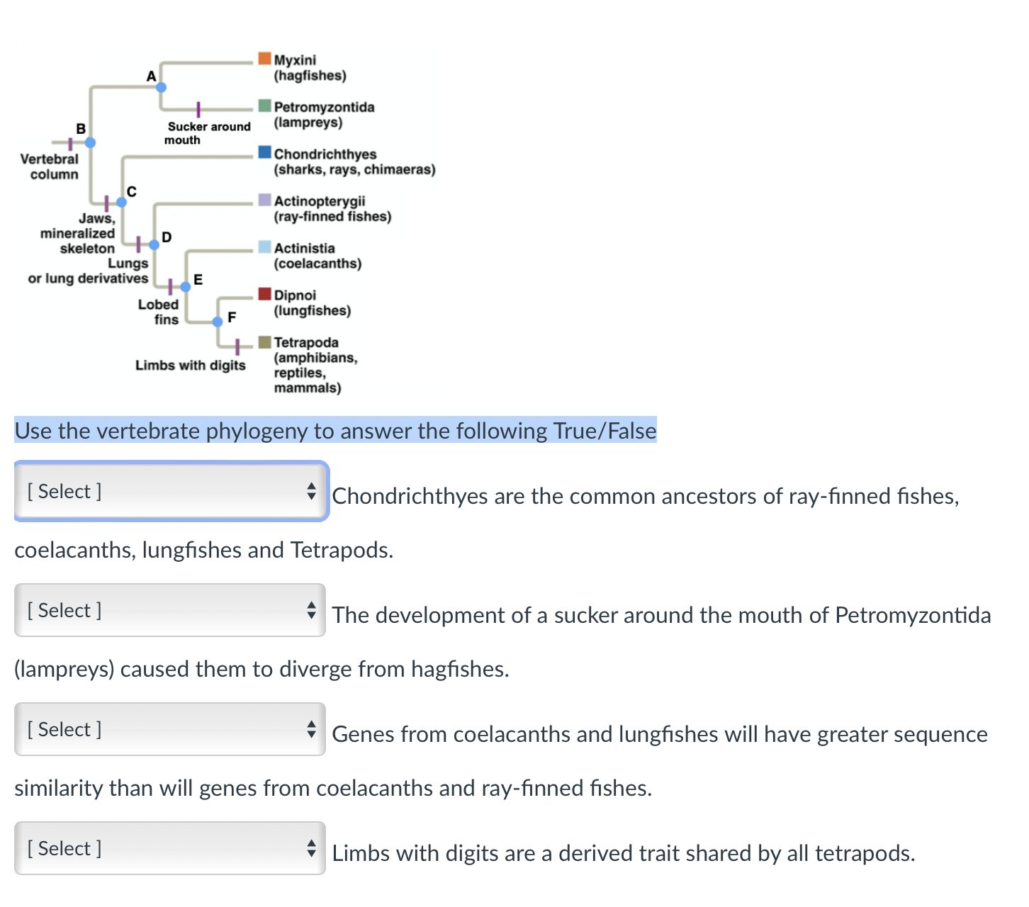 Solved Use the vertebrate phylogeny to answer the following | Chegg.com
