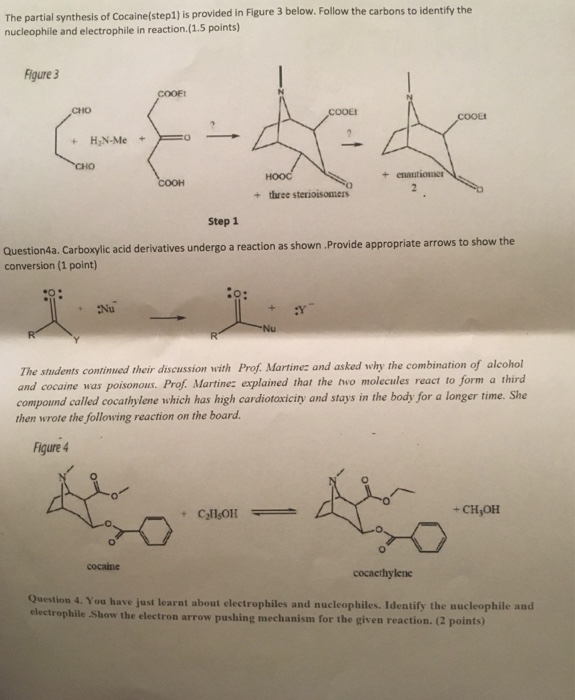 Solved The partial synthesis of Cocaine(step1) is provided | Chegg.com