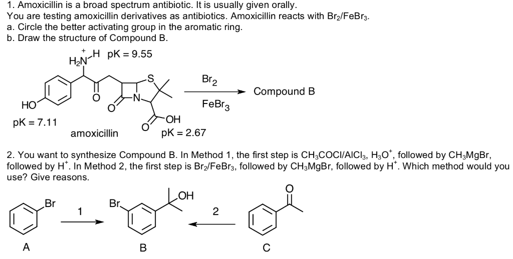 Solved 1. Amoxicillin is a broad spectrum antibiotic. It is | Chegg.com
