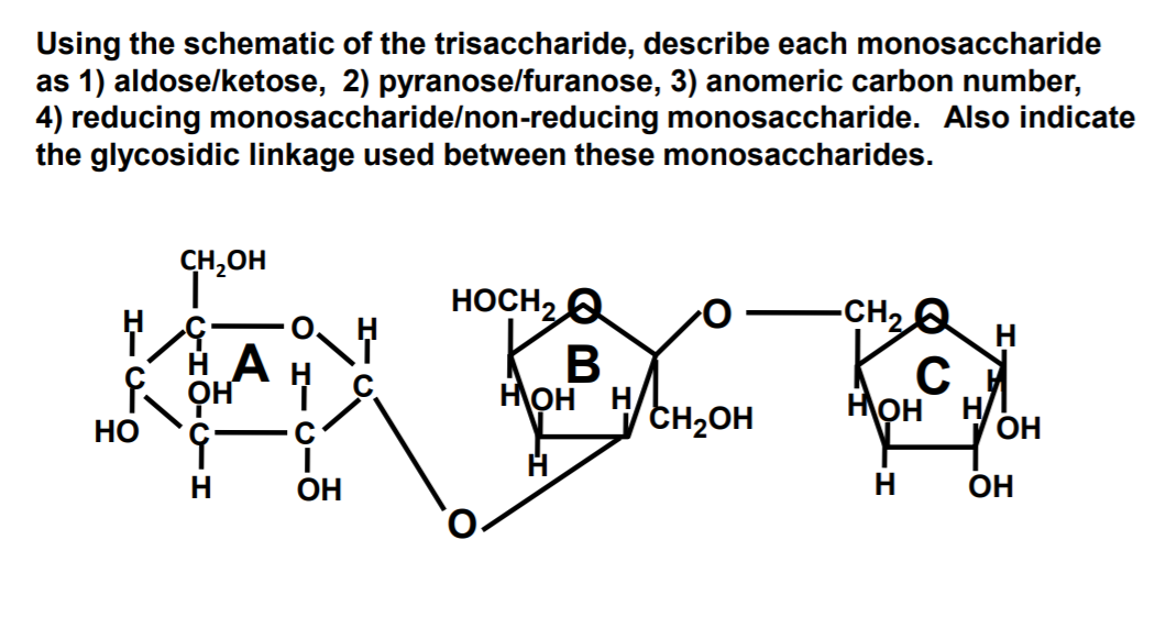 Solved Using the schematic of the trisaccharide, describe | Chegg.com