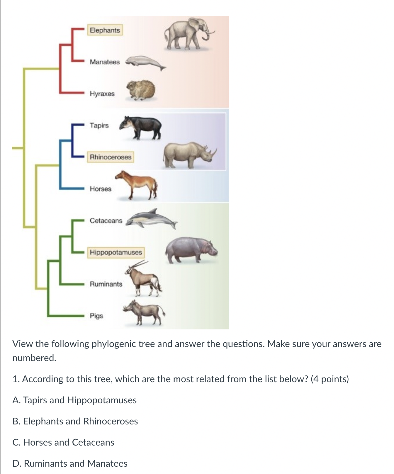 Solved View the following phylogenic tree and answer the | Chegg.com