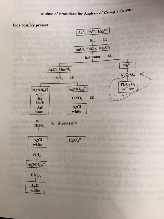 Solved Please make a flow chart for these ions: Bi | Chegg.com