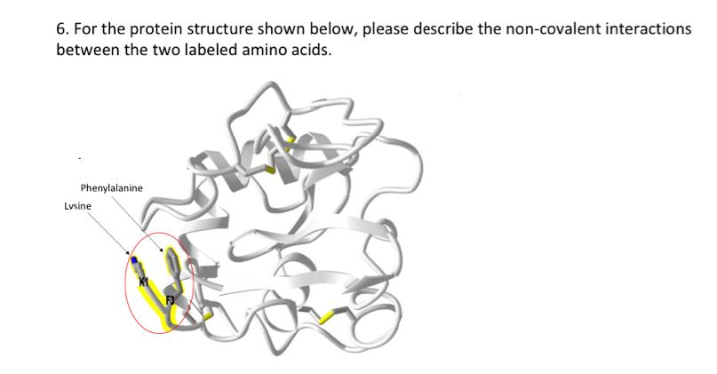 Solved 6. For the protein structure shown below, please | Chegg.com