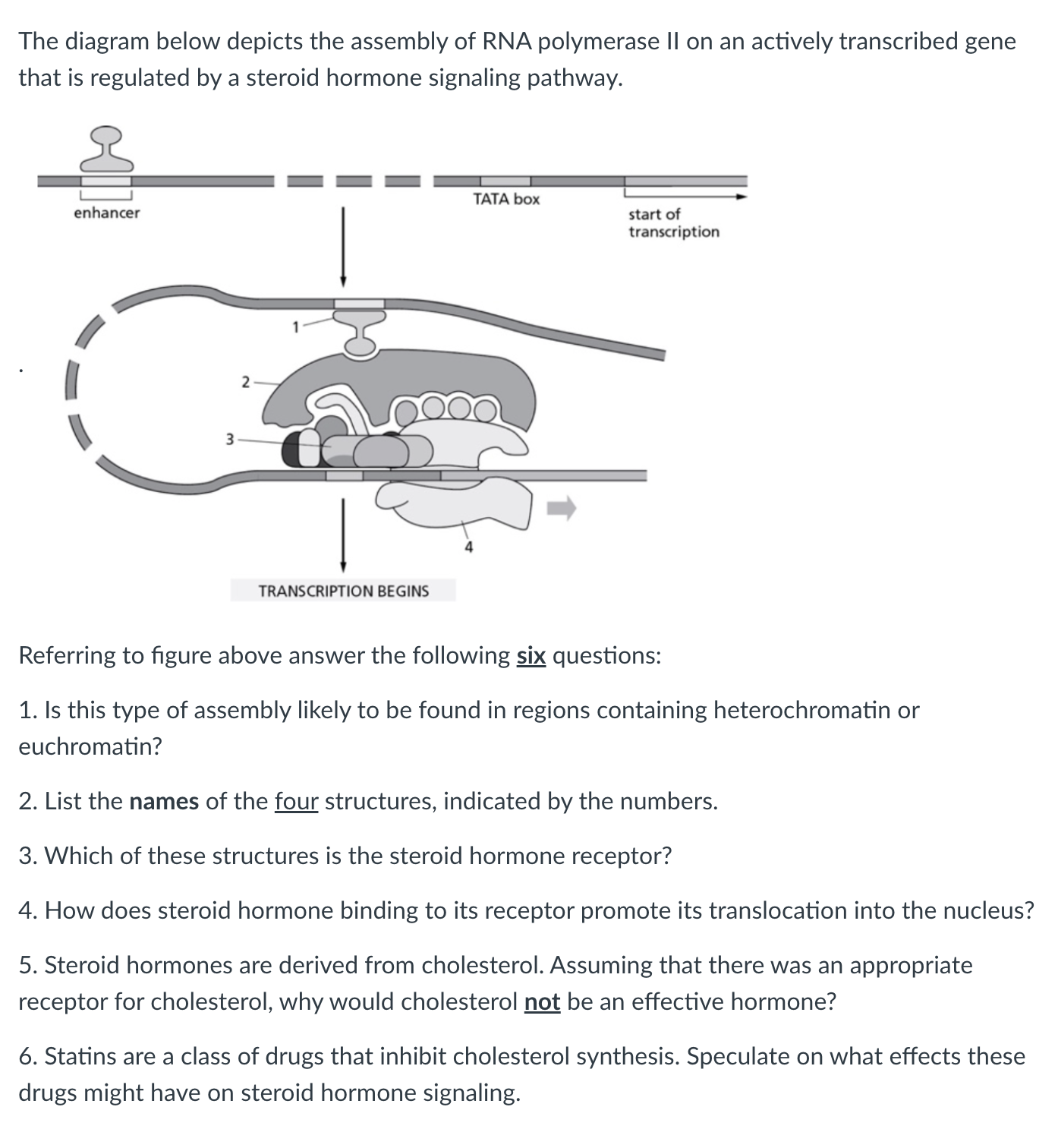 The diagram below depicts the assembly of RNA | Chegg.com