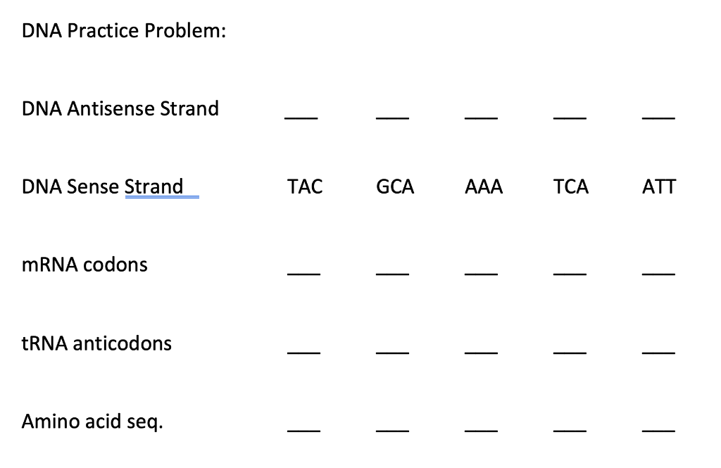 Solved DNA Practice Problem: DNA Antisense Strand - DNA | Chegg.com