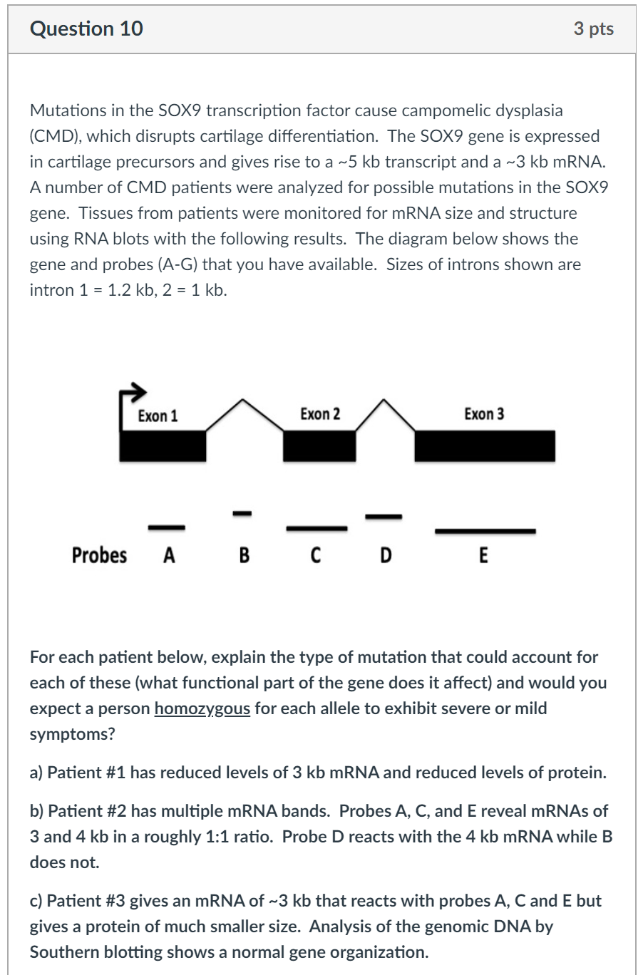 Solved Question 10 3 pts Mutations in the SOX9 transcription | Chegg.com