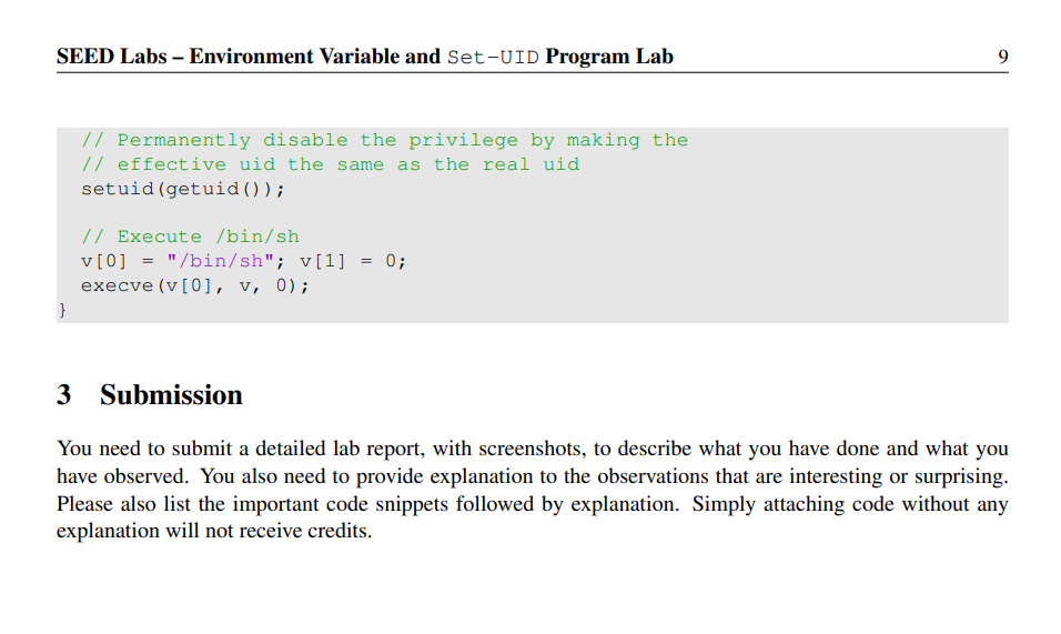 Solved Seed Labs Environment Variable And Set Uid Program 0065