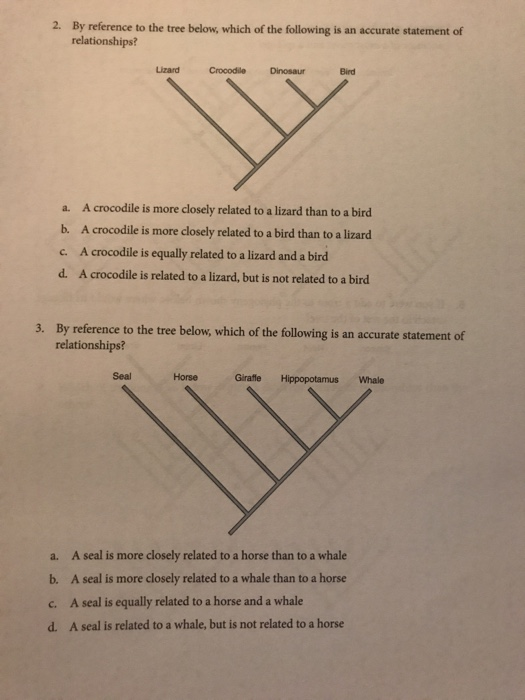 Solved By reference to the tree below, which of the | Chegg.com