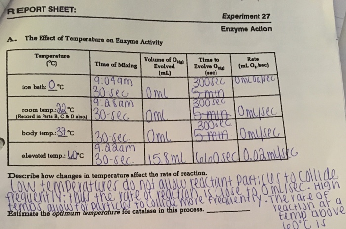 Solved REPORT SHEET Experlment 27 Enzyme Action The Efect of | Chegg.com