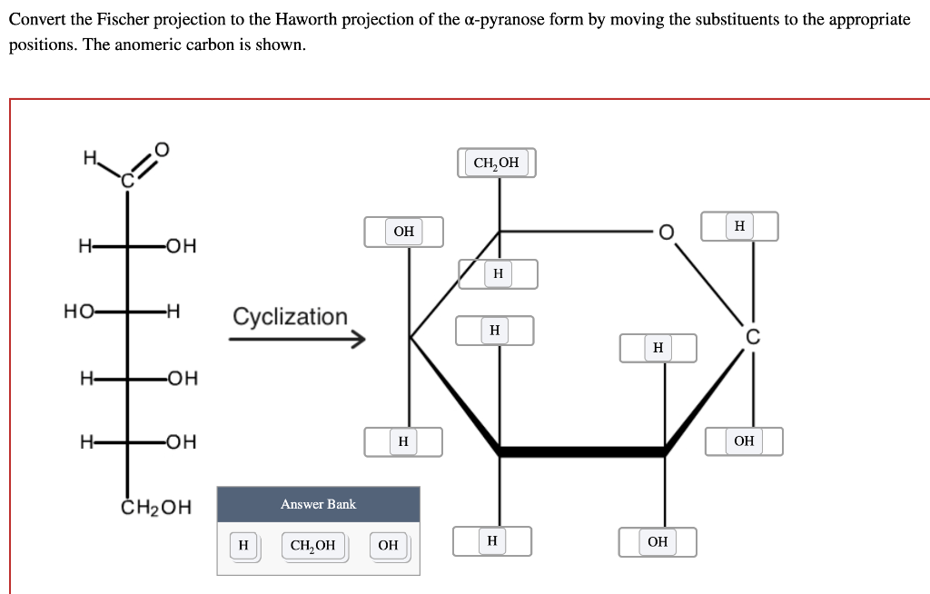 Solved Convert the Fischer projection to the Haworth | Chegg.com