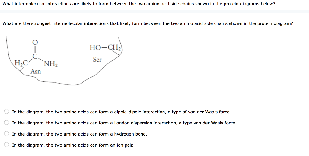 Solved What intermolecular interactions are likely to form | Chegg.com