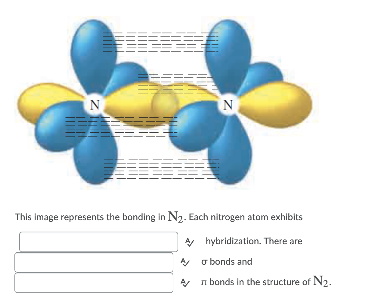 Solved N Z This image represents the bonding in N2. Each | Chegg.com