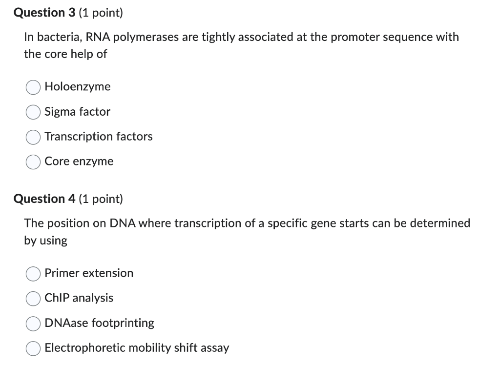 Solved The enzyme S1 nuclease hydrolyzes (digests) Single | Chegg.com