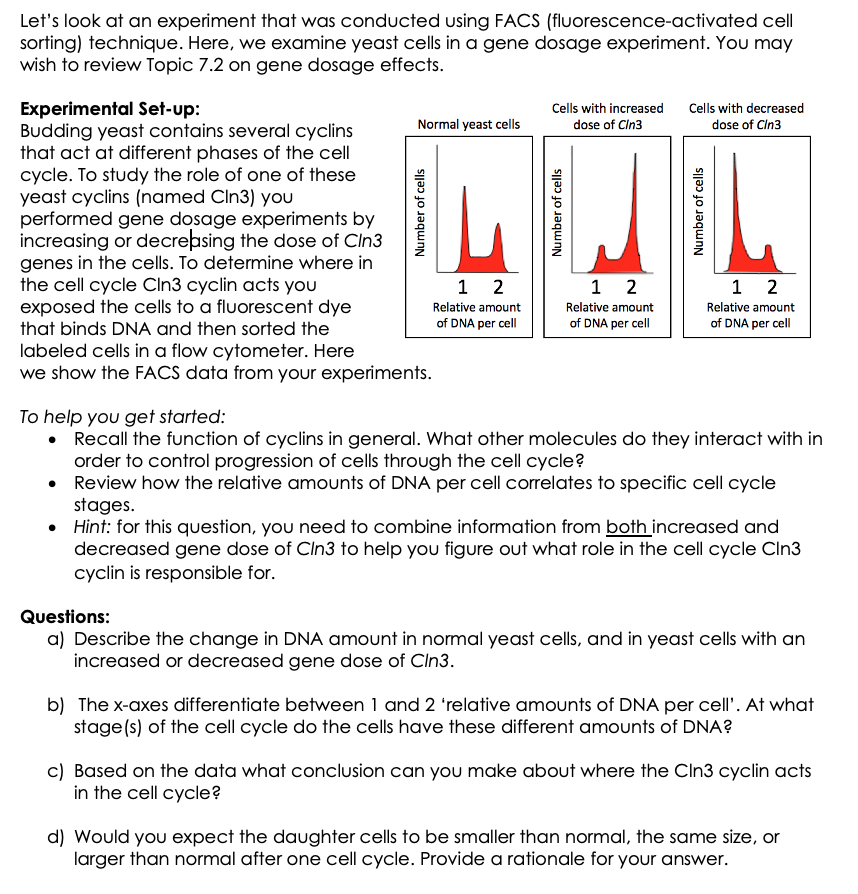 Let's look at an experiment that was conducted using | Chegg.com
