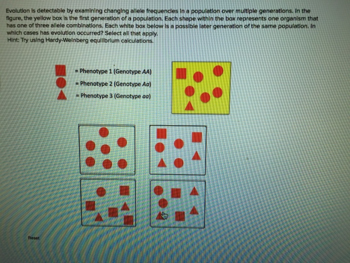 Solved Evolution is detectable by examining change in allele | Chegg.com