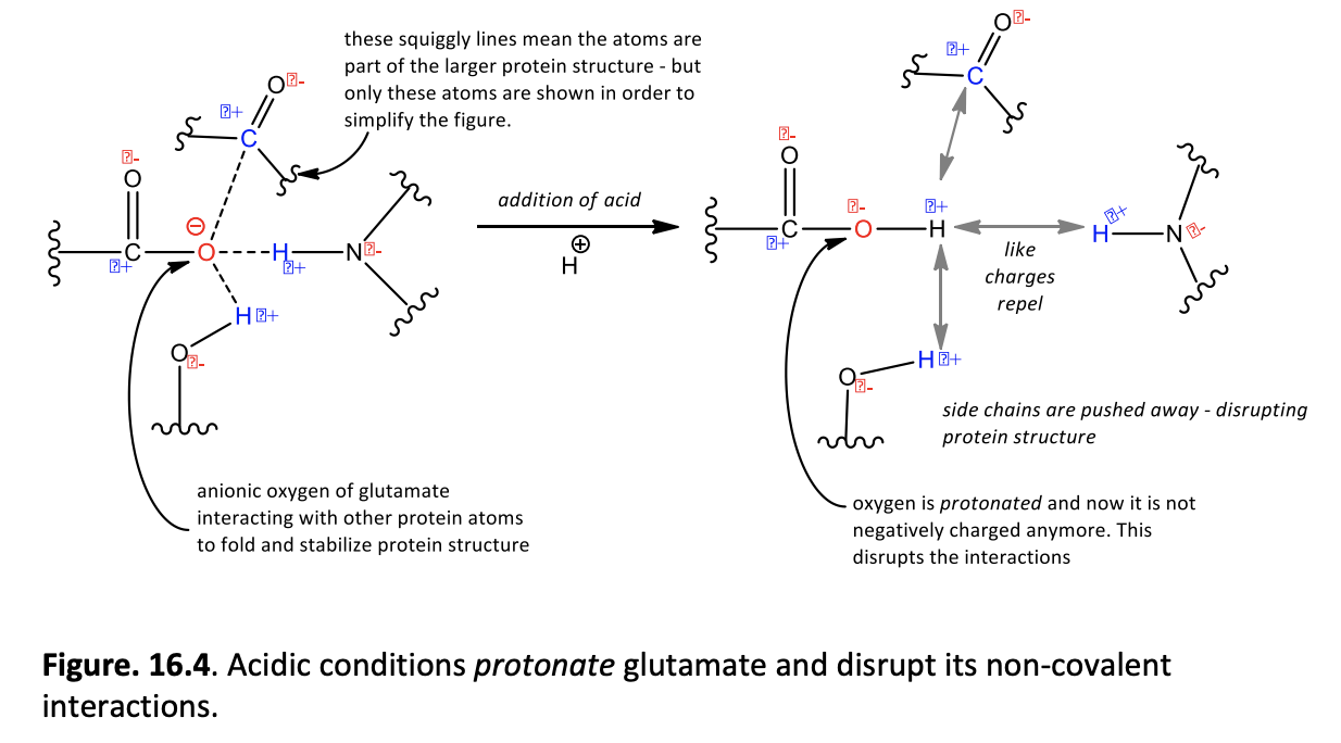 Solved PL 2+ these squiggly lines mean the atoms are part of | Chegg.com