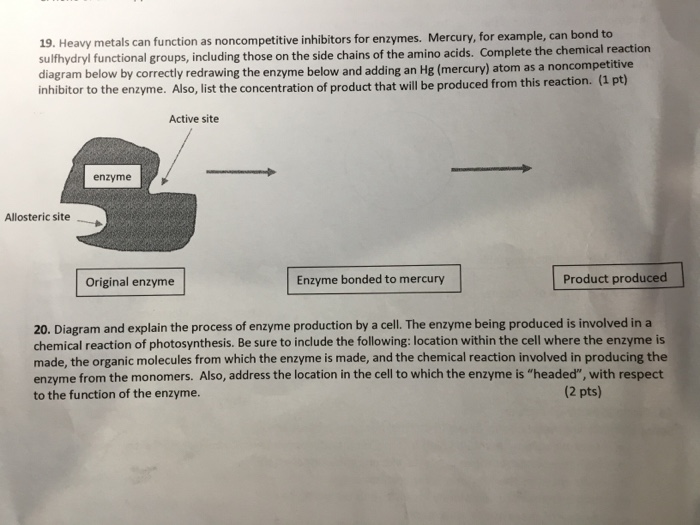 Solved 19. Heavy metals can function as noncompetitive | Chegg.com