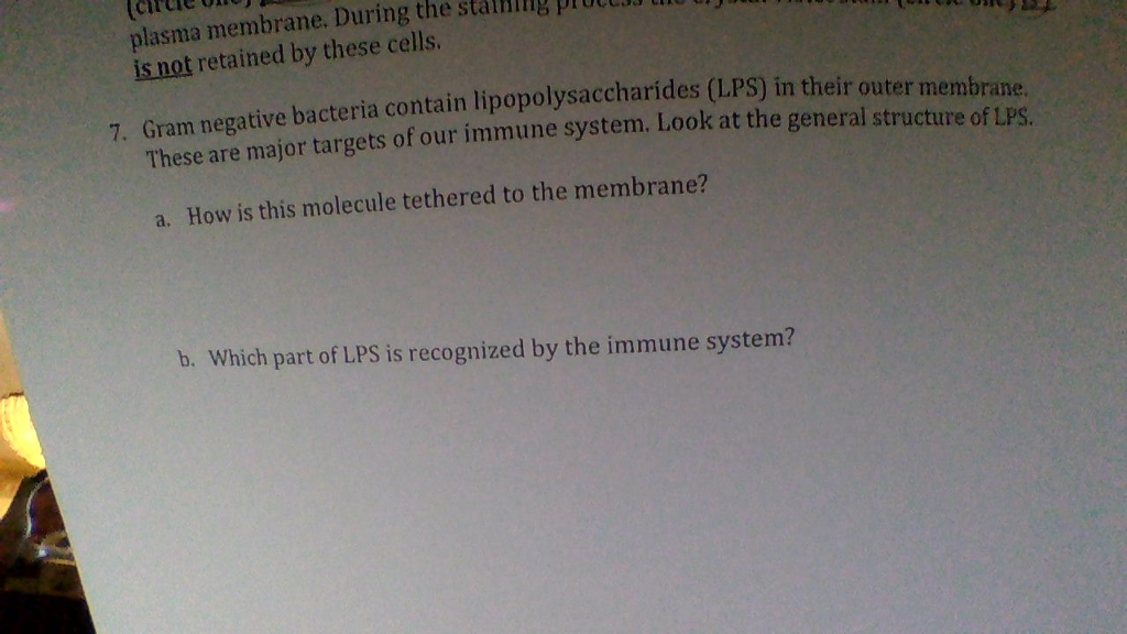 Solved circie onuj plasma membrane. During the stallIng | Chegg.com