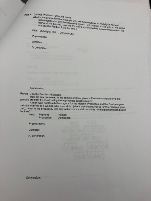 Solved What is the probability that a couple who are | Chegg.com