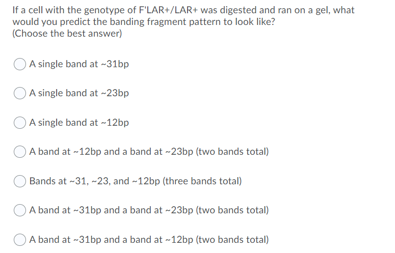 Solved As a research assistant, you identify a merodiploid | Chegg.com