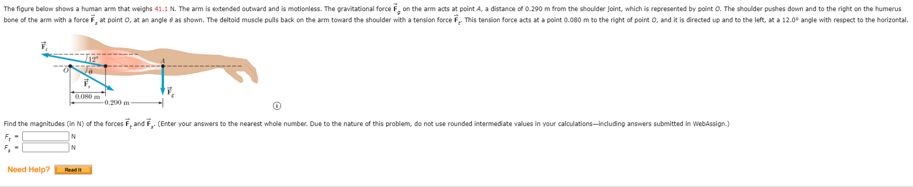 Solved The figure below shows a human arm that weighs 41.1 | Chegg.com