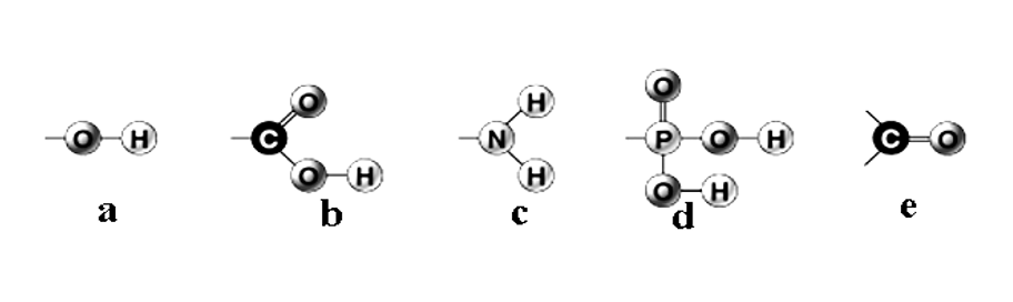 Solved 9. For the following molecules classify the | Chegg.com