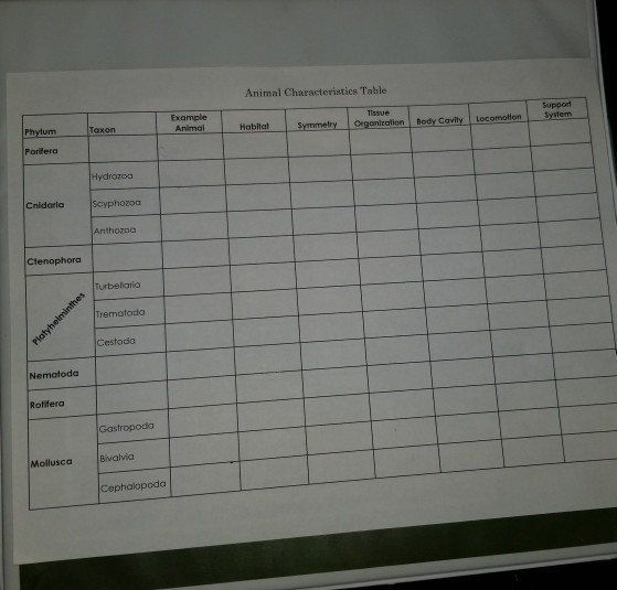 Solved Animal Characteristice Table Support Example Animal | Chegg.com