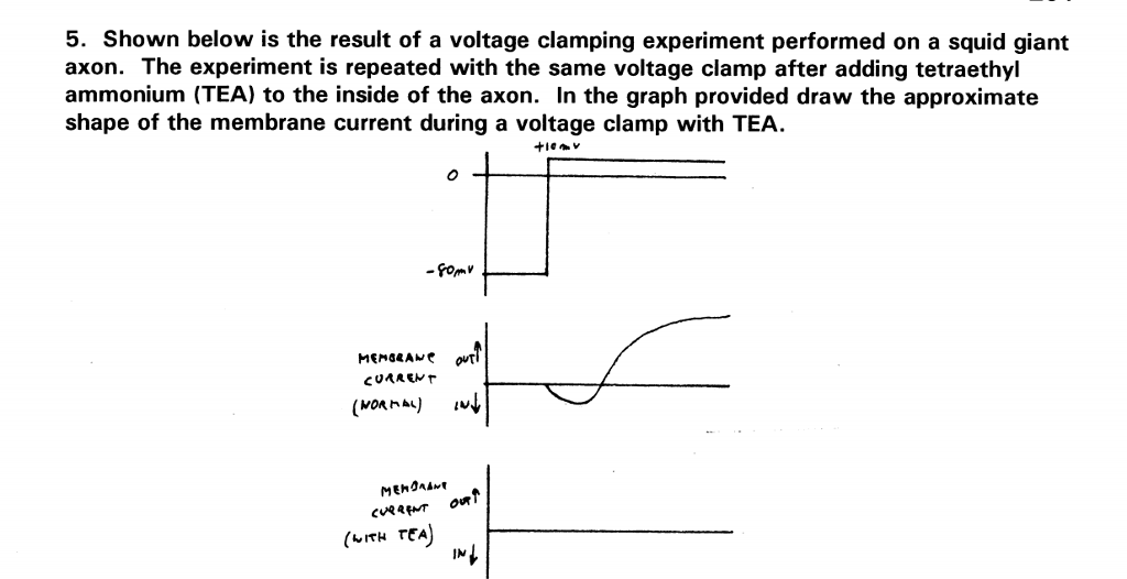 Solved 5. Shown below is the result of a voltage clamping | Chegg.com