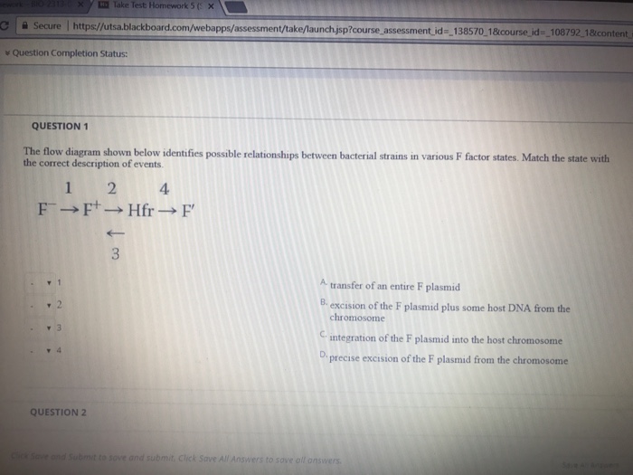 Solved The flow diagram shown below identifies possible | Chegg.com