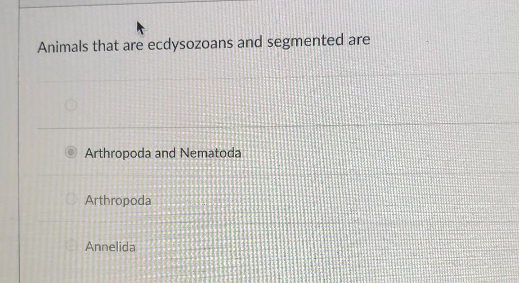 Solved A coelom supports internal organs functions as the | Chegg.com