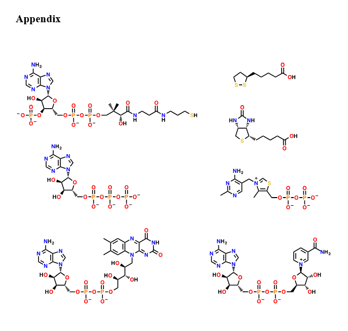 Solved Biochemistry I Glucose-6-phosphatase (G6Pase) | Chegg.com