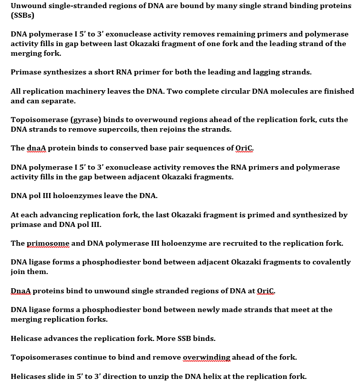 Solved Unwound single-stranded regions of DNA are bound by | Chegg.com