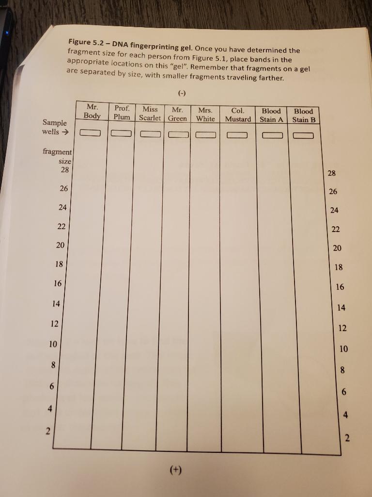 Solved Figure 5 1 Dna Of Victim And Suspects You Will