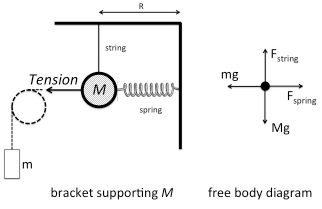 Solved string string Tension mg MHWA spring spring Mg | Chegg.com