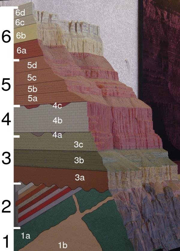 Solved Grand Canyon What type of rocks are predominant in | Chegg.com
