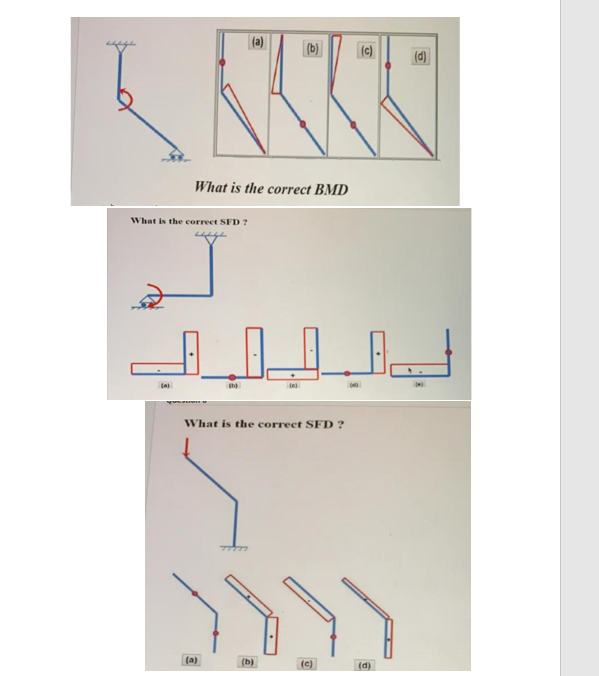 Solved (b) (c) (d) What is the correct BMD What is the | Chegg.com