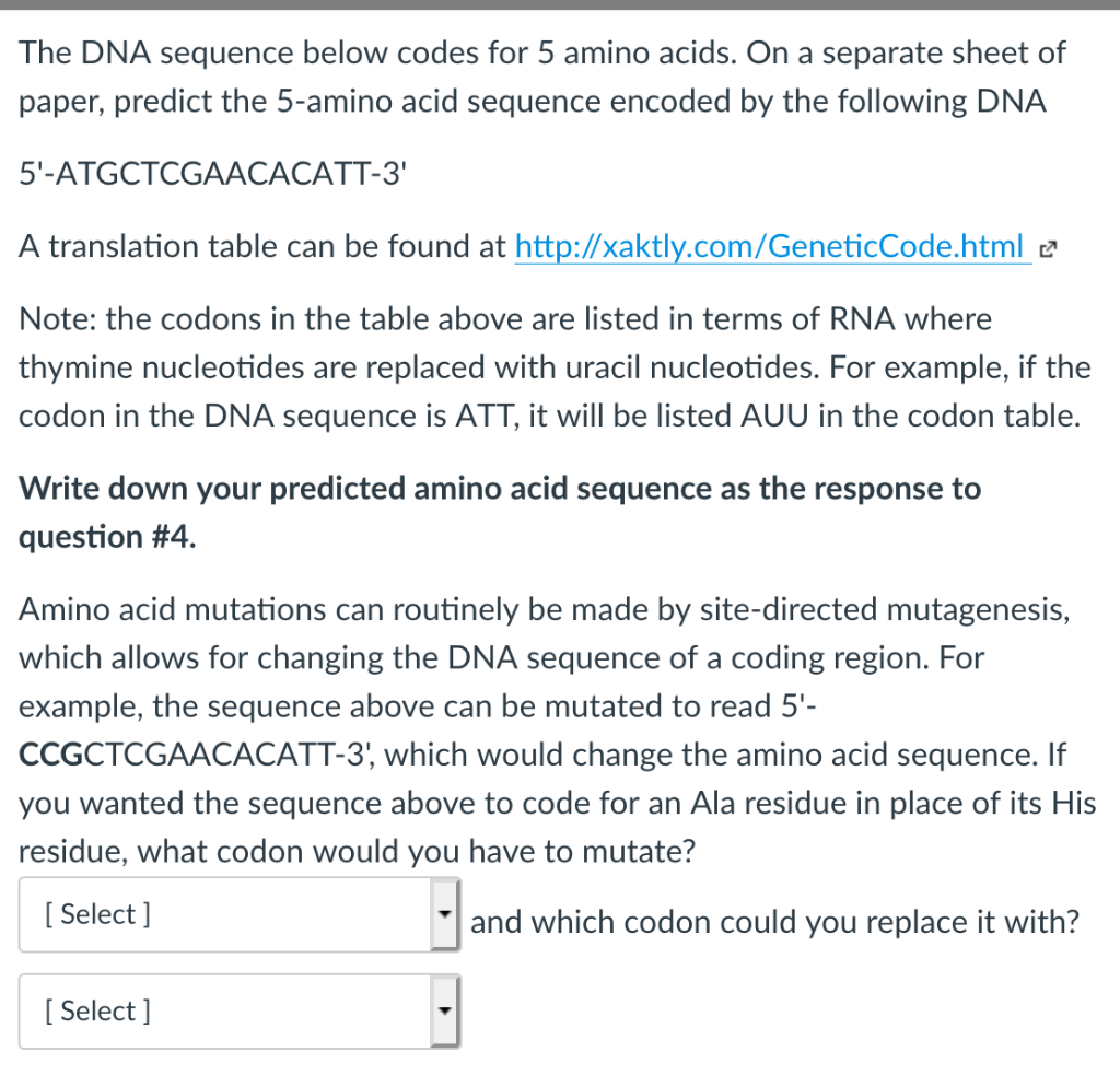 Nucleotide Amino Acid Translation Table | Cabinets Matttroy