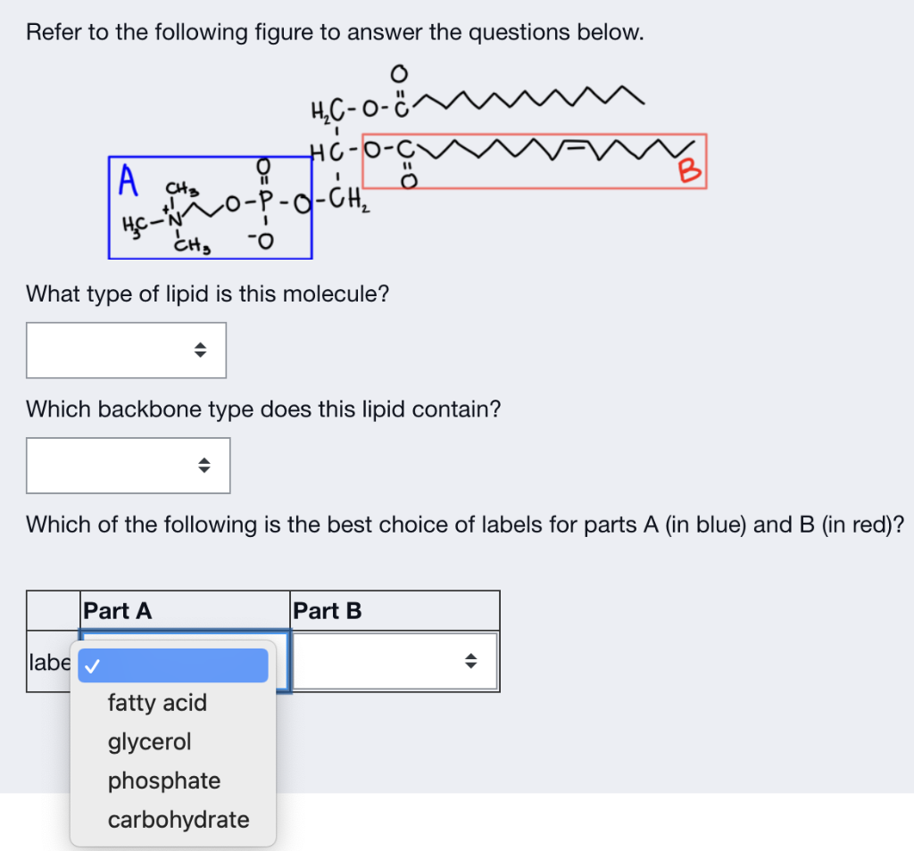 Solved Refer to the following figure to answer the questions | Chegg.com