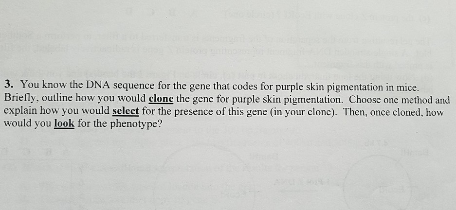 Solved 3. You know the DNA sequence for the gene that codes | Chegg.com