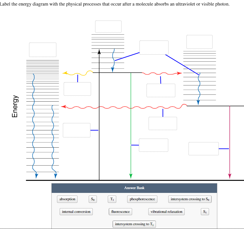 Solved abel the energy diagram with the physical processes | Chegg.com