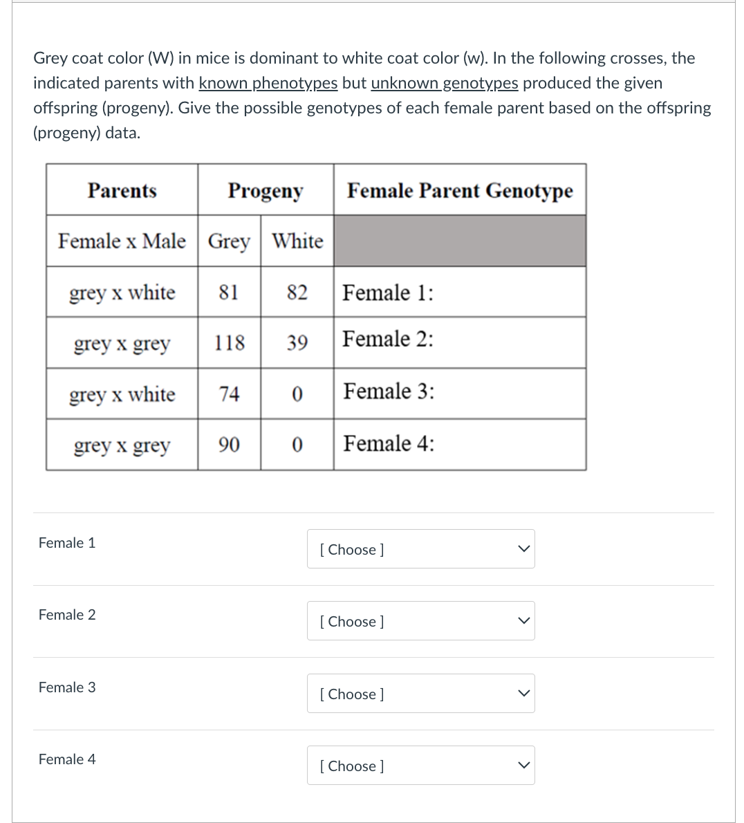 Grey coat color (W) ﻿in mice is dominant to white | Chegg.com